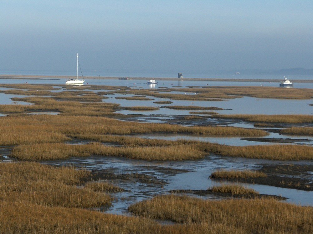 "The salt marsh by Hurst Castle, near Lymington, Hampshire, UK" by ...