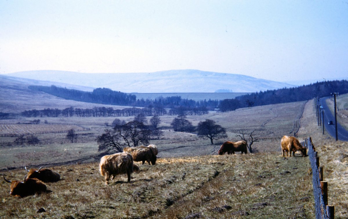 "A picture of Redesdale" by P. G. Wright at PicturesofEngland.com