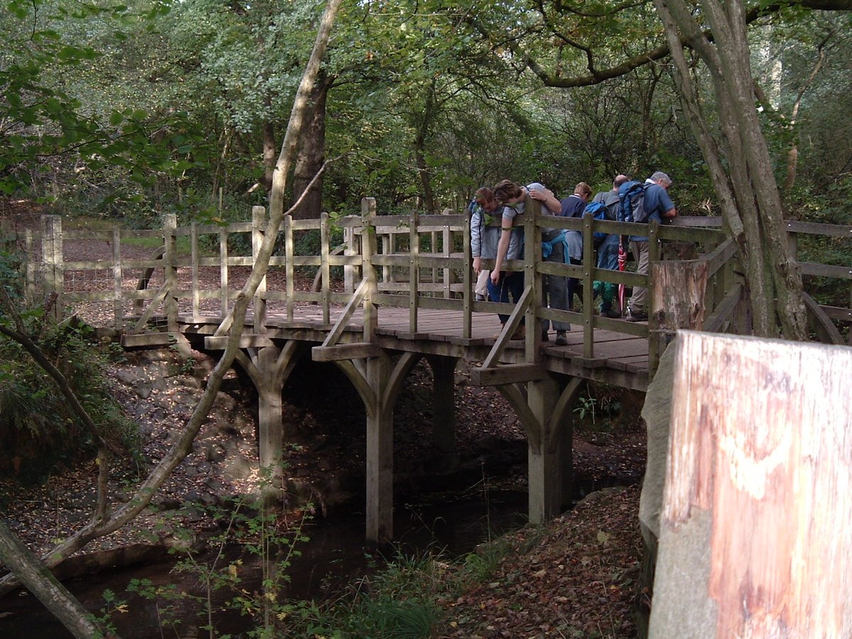 "Pooh sticks bridge, Ashdown forest, Nr Hartfield. East Sussex" by ...