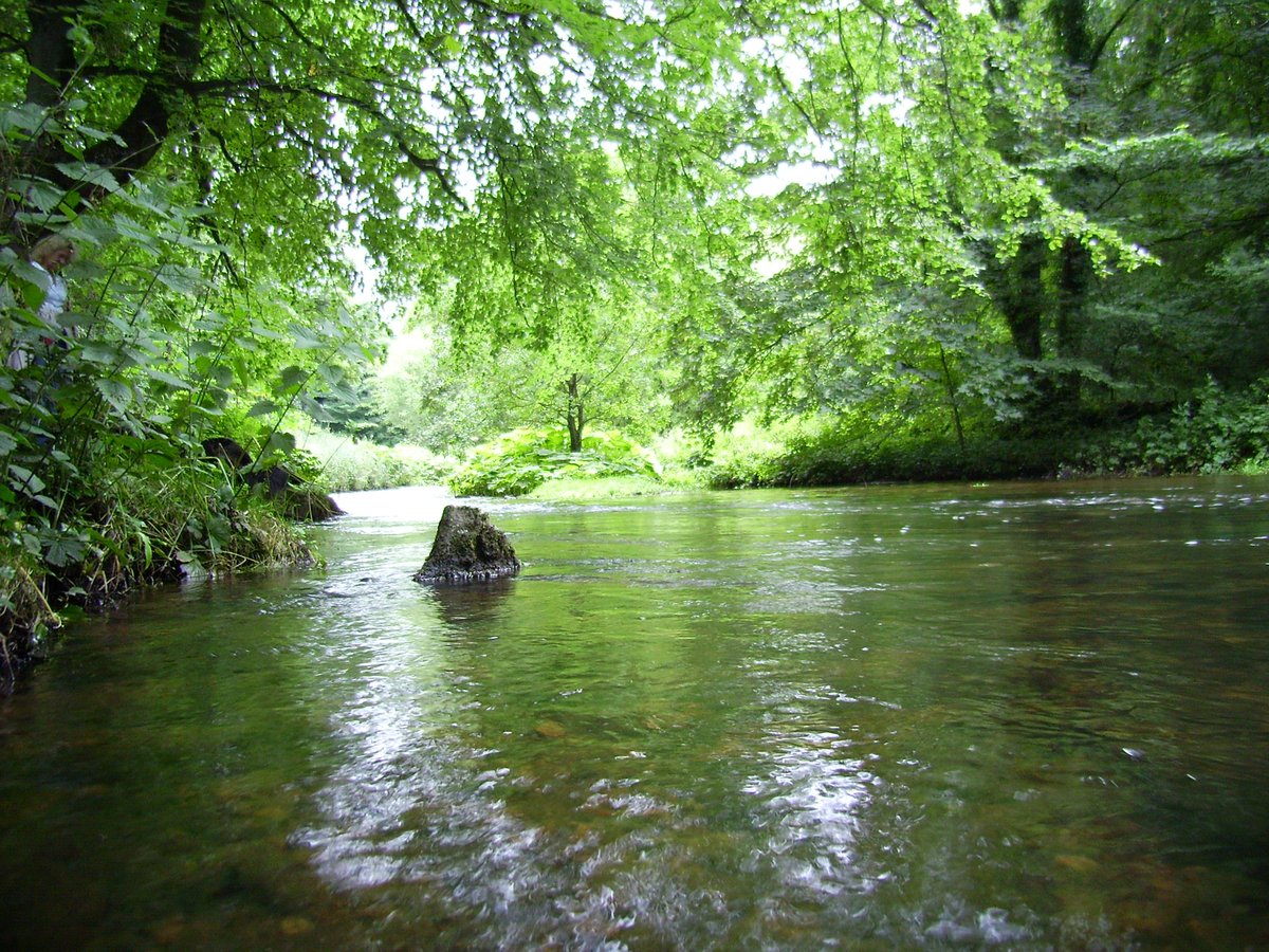 "The River Wye at Chee Dale in the Peak District" by Trevor Summerson ...