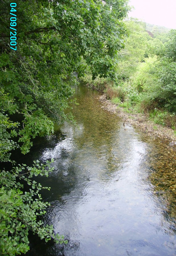 "Respryn Bridge - Lanhydrock" by Barbara Whiteman at PicturesofEngland.com