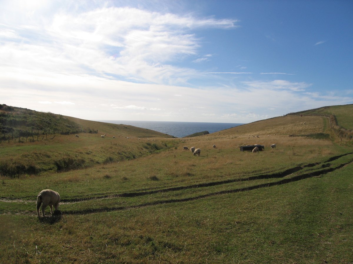 "Trevarrian, Cornwall" by poe at PicturesofEngland.com