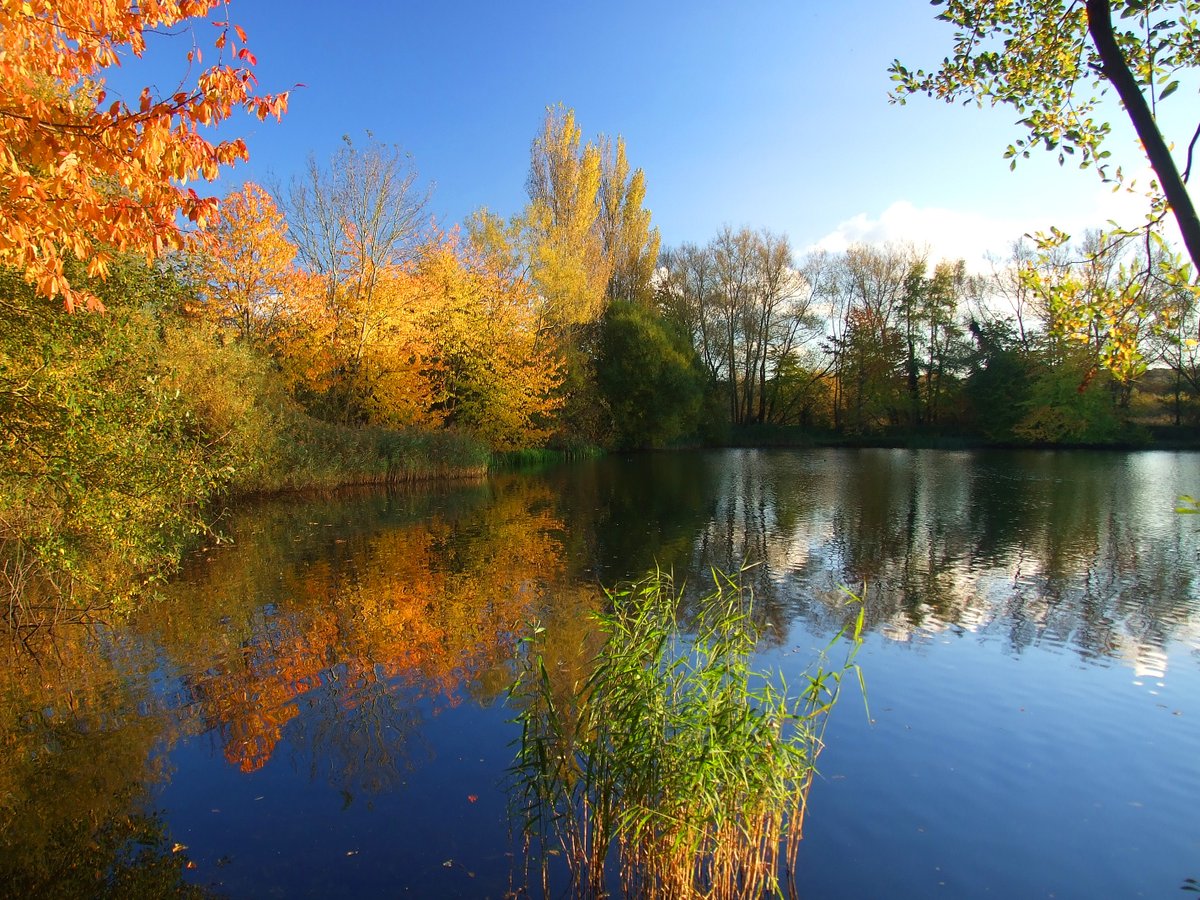 "Thatcham Angling Lakes, Berkshire" by Colin Williams at ...