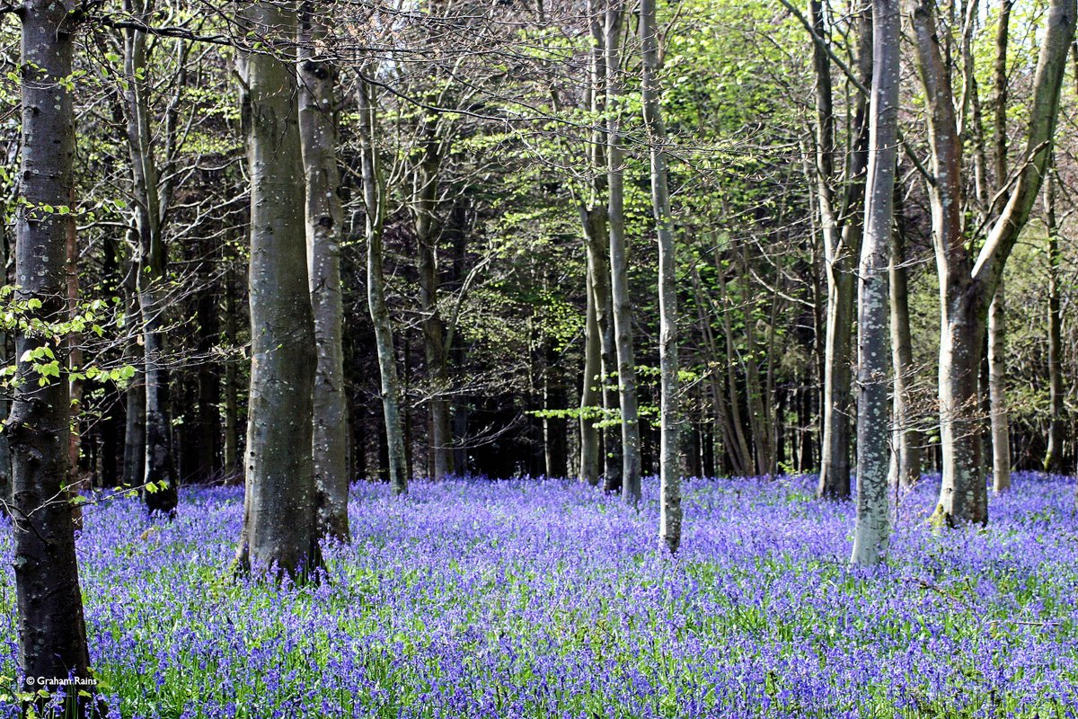 "Shillingstone in Dorset" by Graham Rains at PicturesofEngland.com