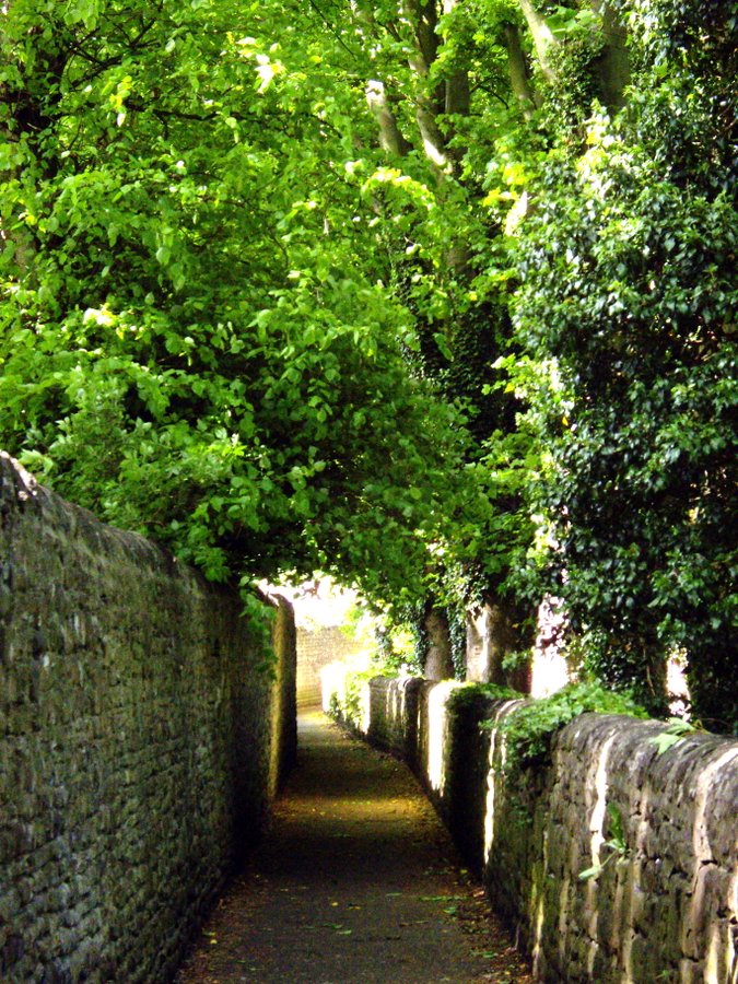 "Back Lane" by Lorraine at PicturesofEngland.com