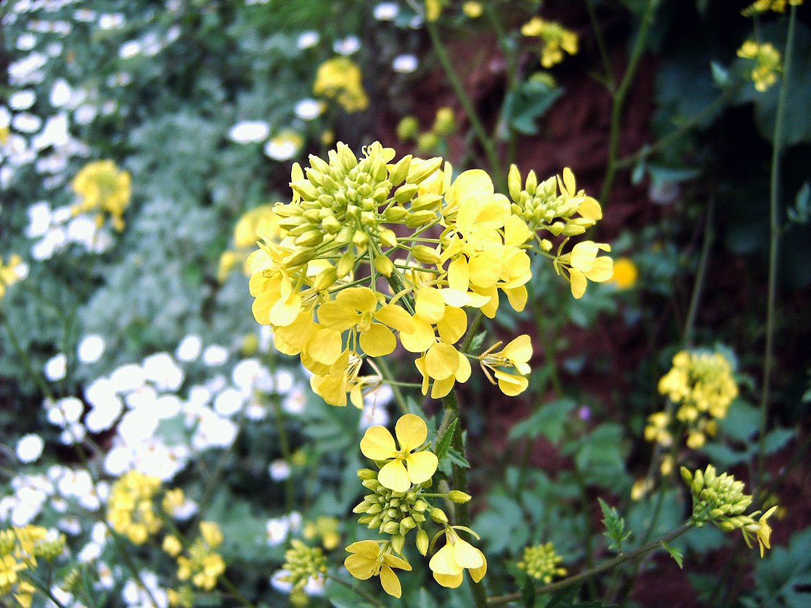 "Becky Fall's Woodland Park" by Ted at PicturesofEngland.com