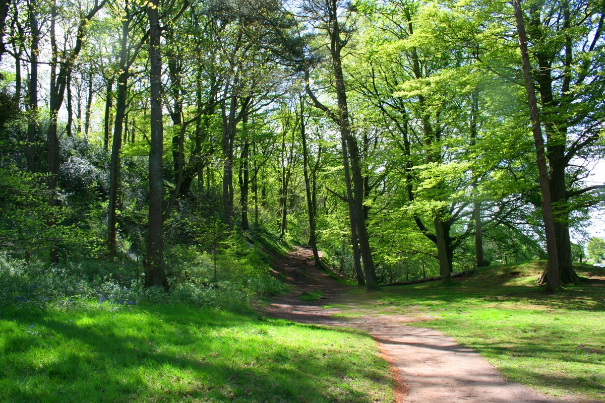 "Marles Wood" by Sue Bristo at PicturesofEngland.com