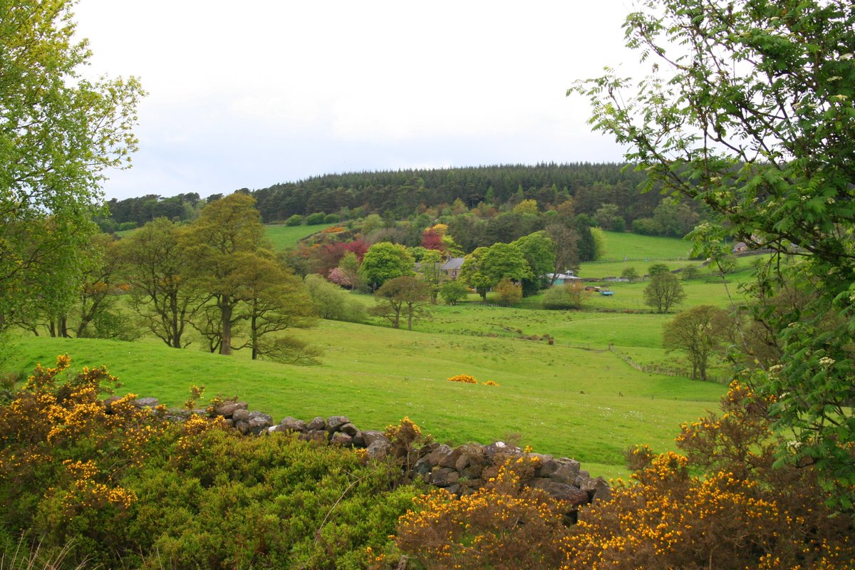 "Hurst Green" by Sue Bristo at PicturesofEngland.com