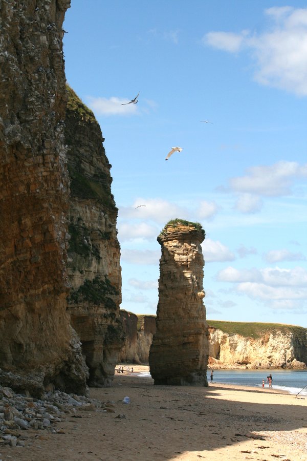 "The beach and cliffs at Marsden Bay." by Roy Jackson at ...
