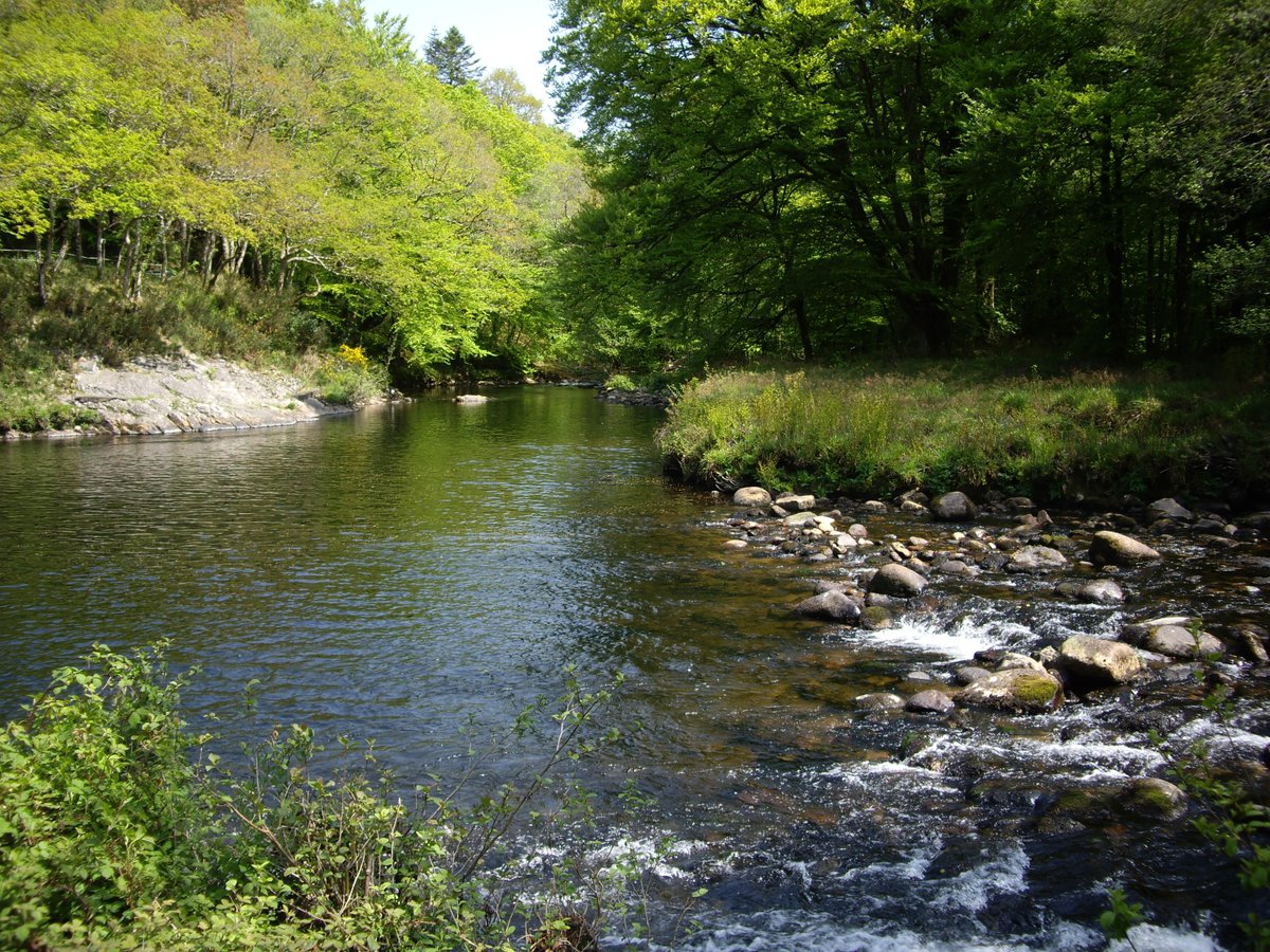 "Spitchwick, Dartmoor." by Marjorie Pope at PicturesofEngland.com