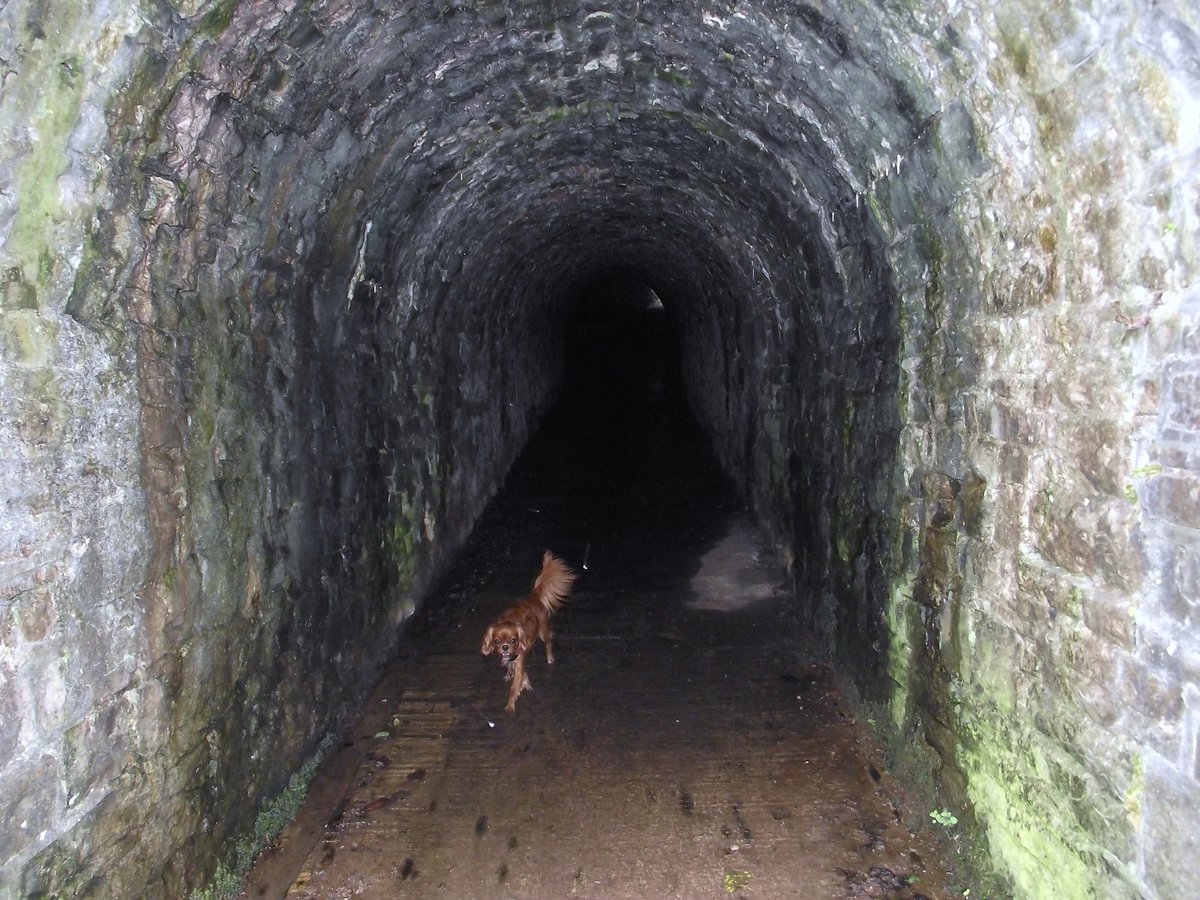 "Llanfoist Wharf" by Martin Wall at PicturesofEngland.com