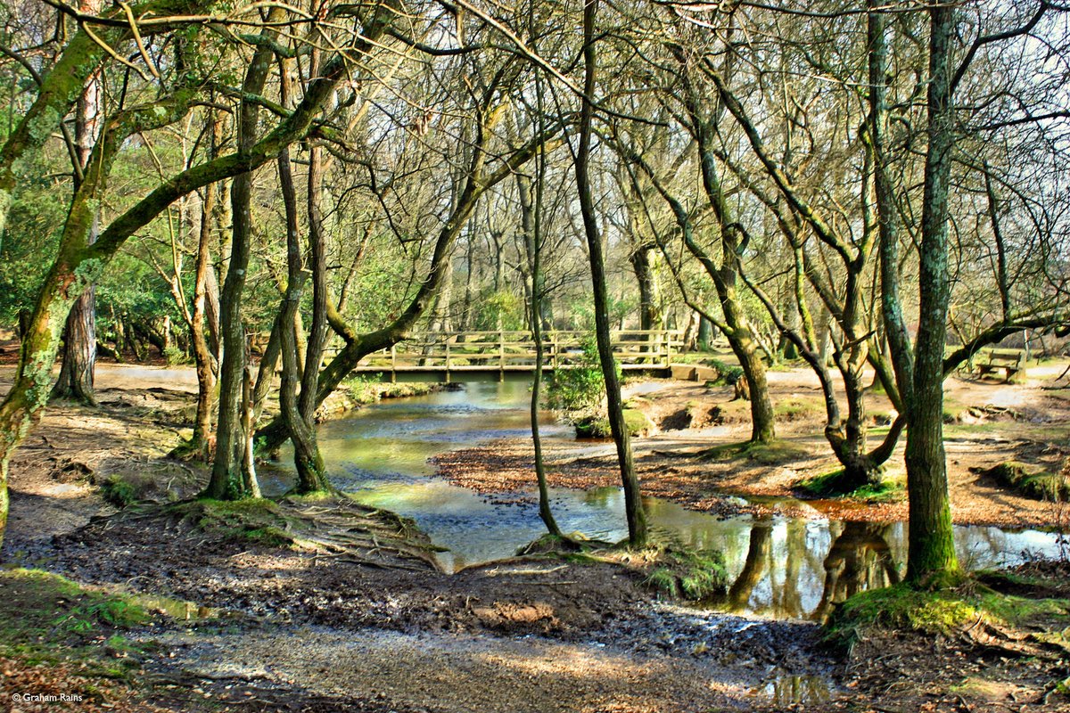 "Brockenhurst Hampshire" by Graham Rains at PicturesofEngland.com