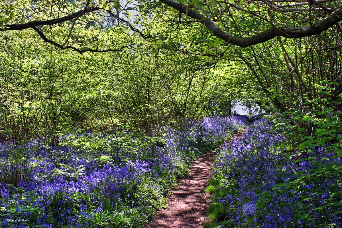 "Piddles Wood, Sturminster Newton" by Graham Rains at PicturesofEngland.com