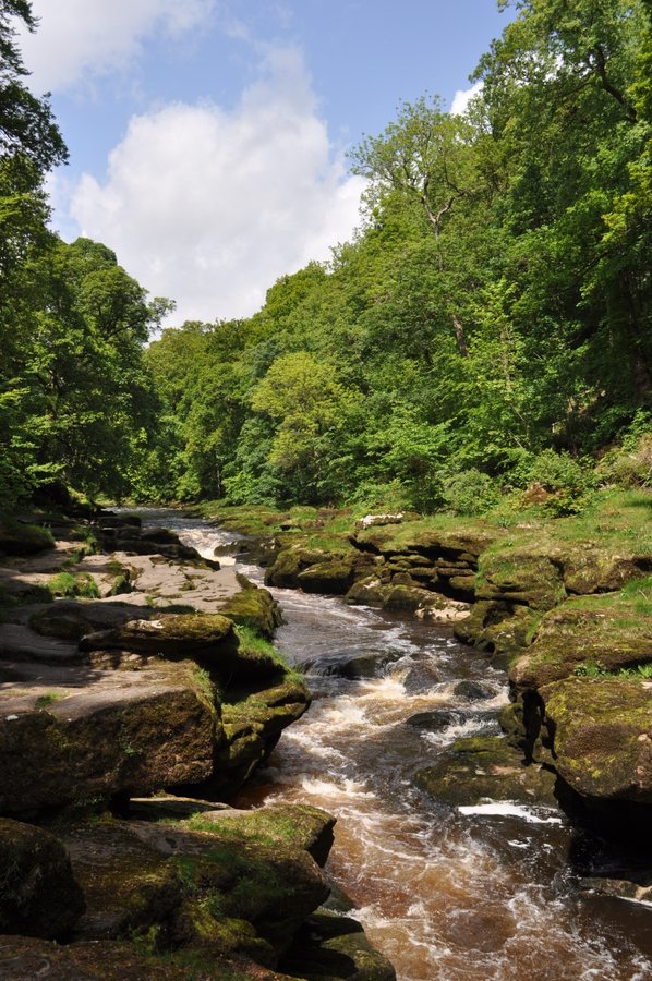 "The Strid" by Jez Taylor at PicturesofEngland.com