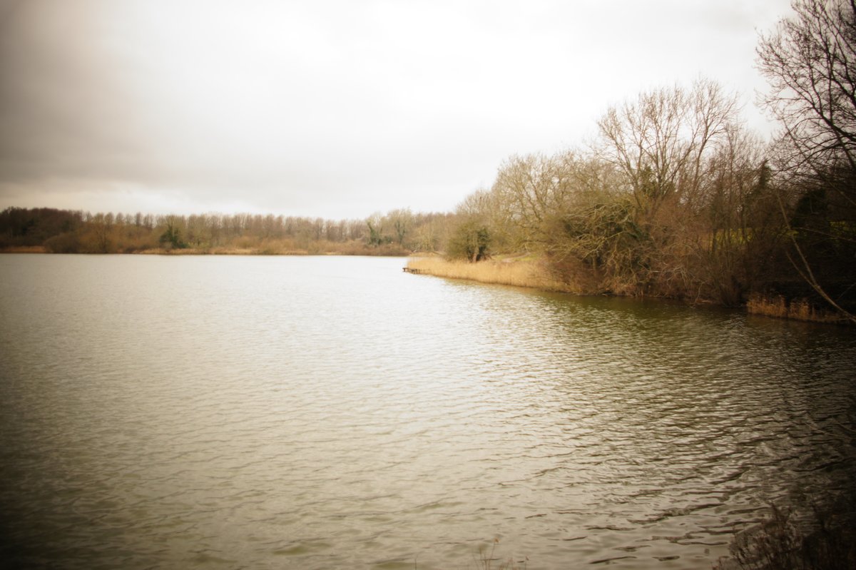 "Coate Water County Park, Coate, Wiltshire" by Trelaine Hicks at ...