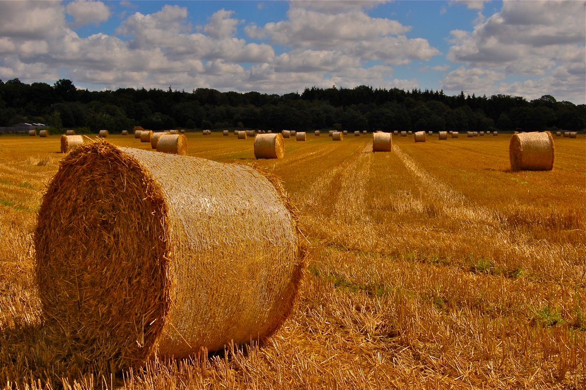 "Hay bail in East Peckham" by Alan Wilkinson at PicturesofEngland.com