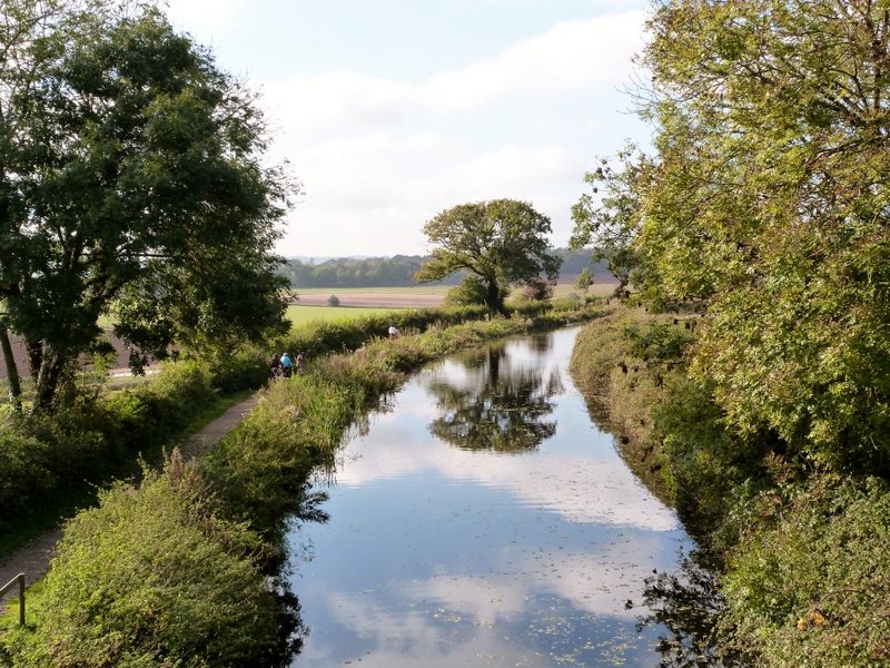 "Halberton" by Pat Trout at PicturesofEngland.com