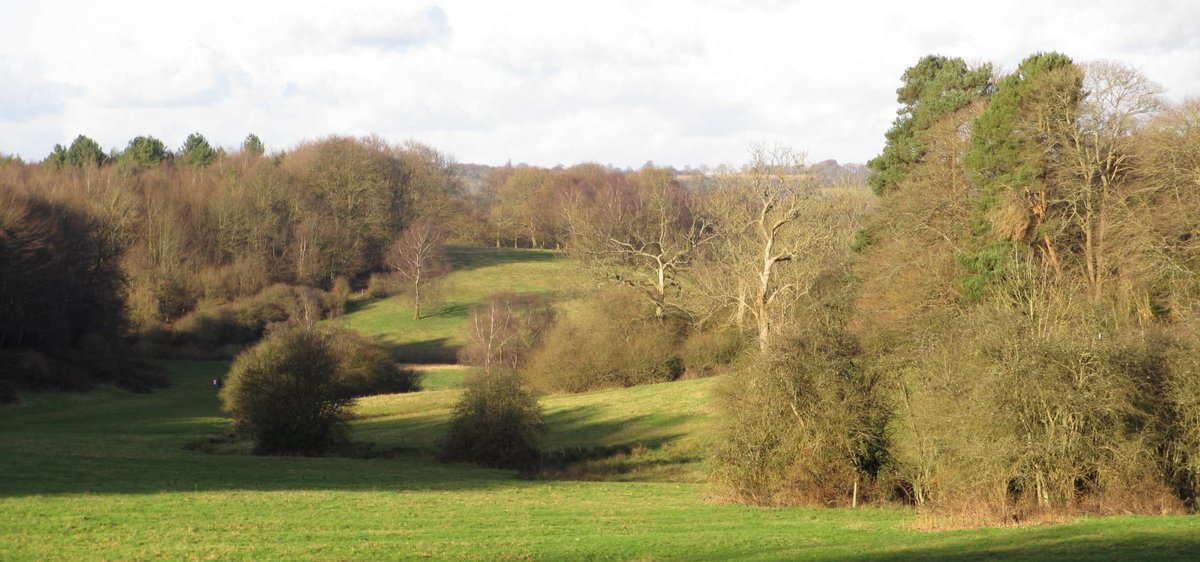 "Squerryes Park, Westerham, Kent" by Louise Burgess at ...