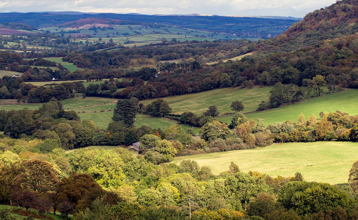 "Bristol landscape" by Shuge Zhang at PicturesofEngland.com