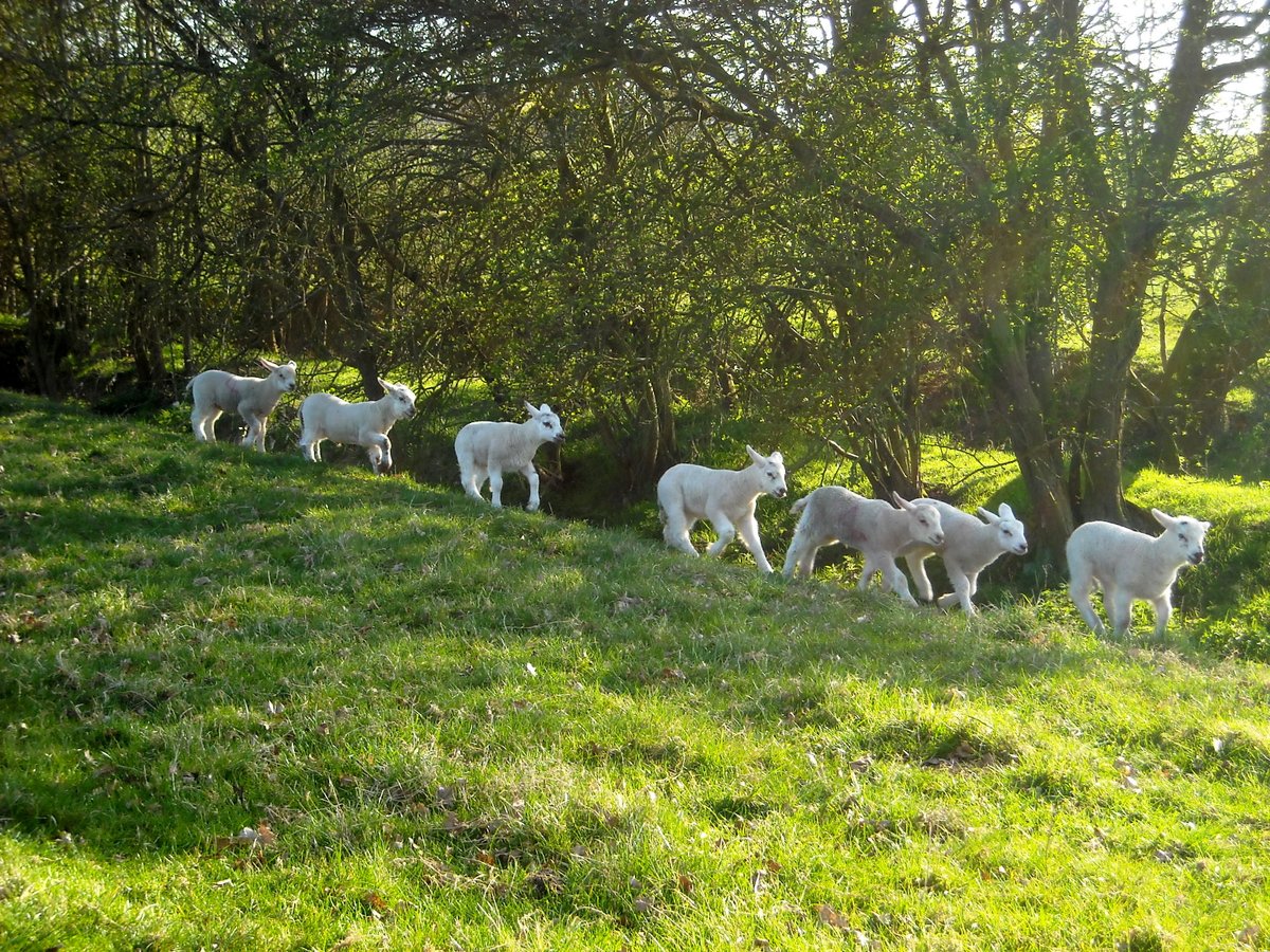 "Everdon" by Martin Humphreys at PicturesofEngland.com