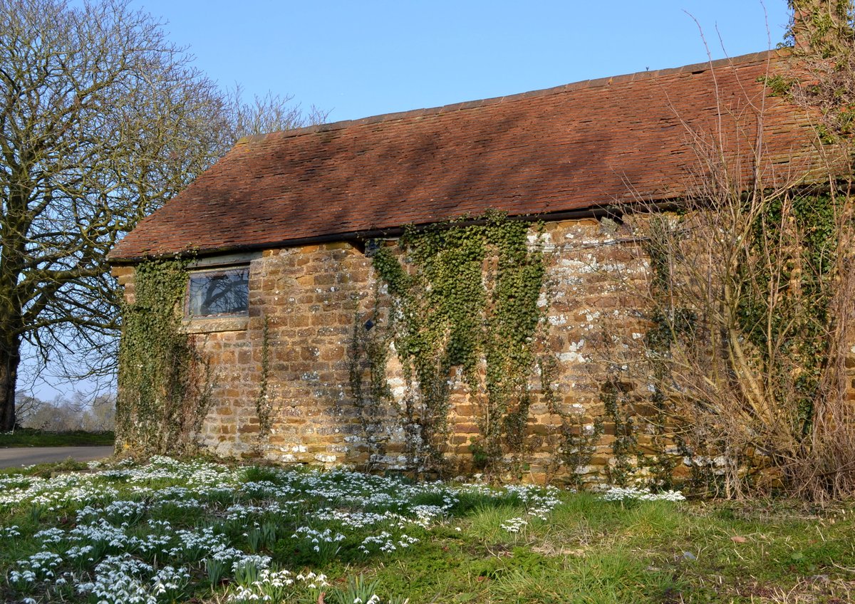 "Fawsley Estate" by Martin Humphreys at PicturesofEngland.com