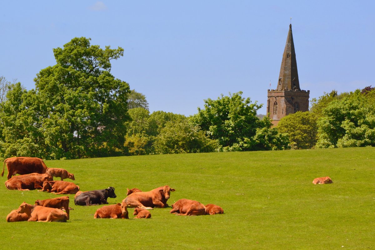 "Newnham Church" by Martin Humphreys at PicturesofEngland.com