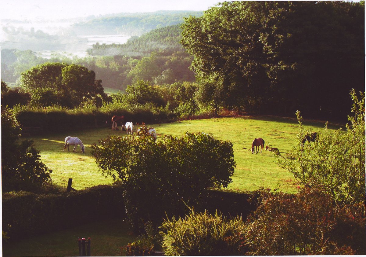 "Early morning view across the Checkley Valley" by Kenneth Richards at ...