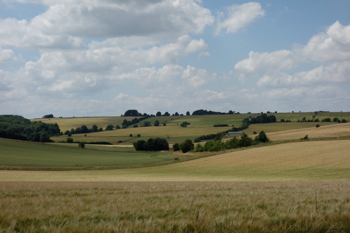 "Cotswolds Landscape" by Kip Bennett at PicturesofEngland.com