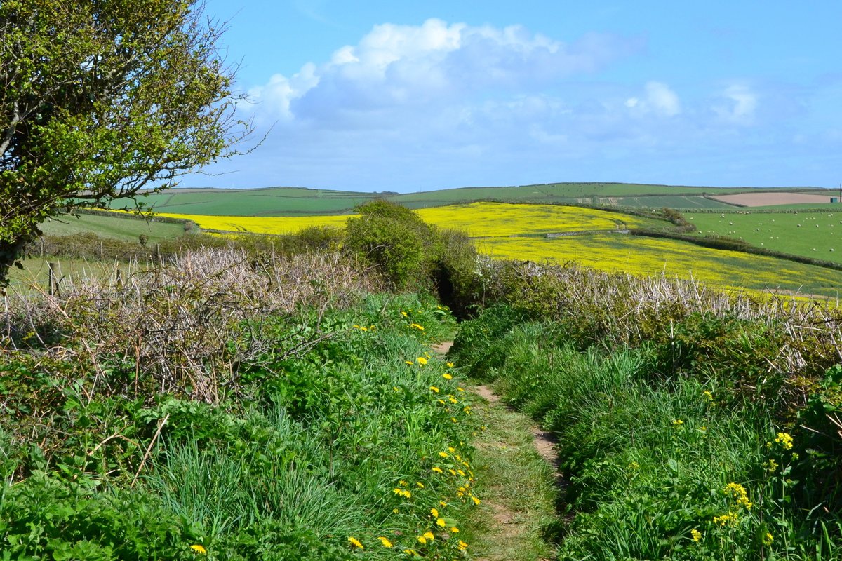 "Country view" by Martin Humphreys at PicturesofEngland.com