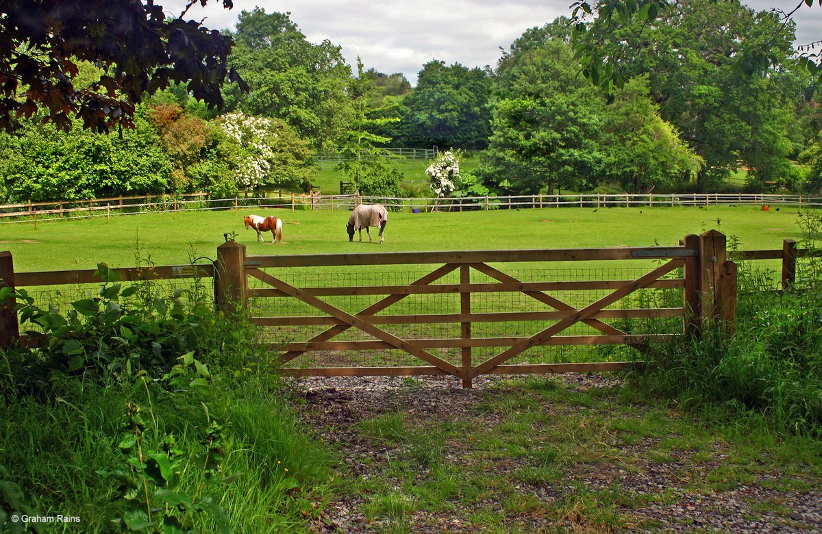 "A Dorset Garden, Shillingstone." by Graham Rains at PicturesofEngland.com
