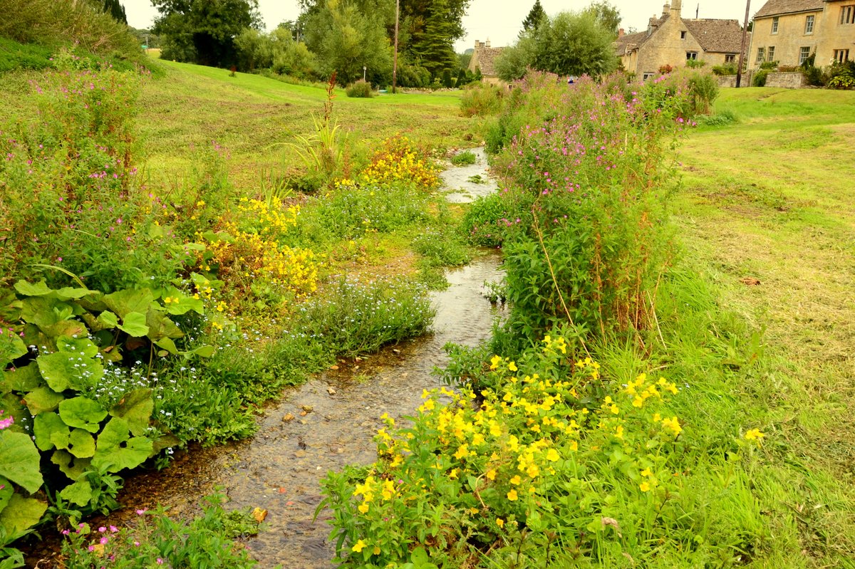 "River Windrush" by Martin Humphreys at PicturesofEngland.com