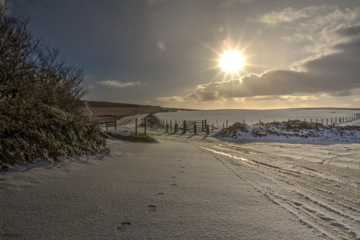 "Exmoor landscape Sunny footprints" by Martin Lewis at ...
