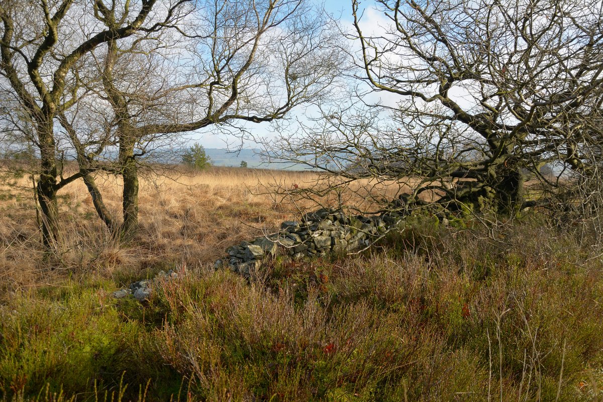 "Stone Wall on Moorland above Meerbrook, Staffordshire" by AJTooth at ...