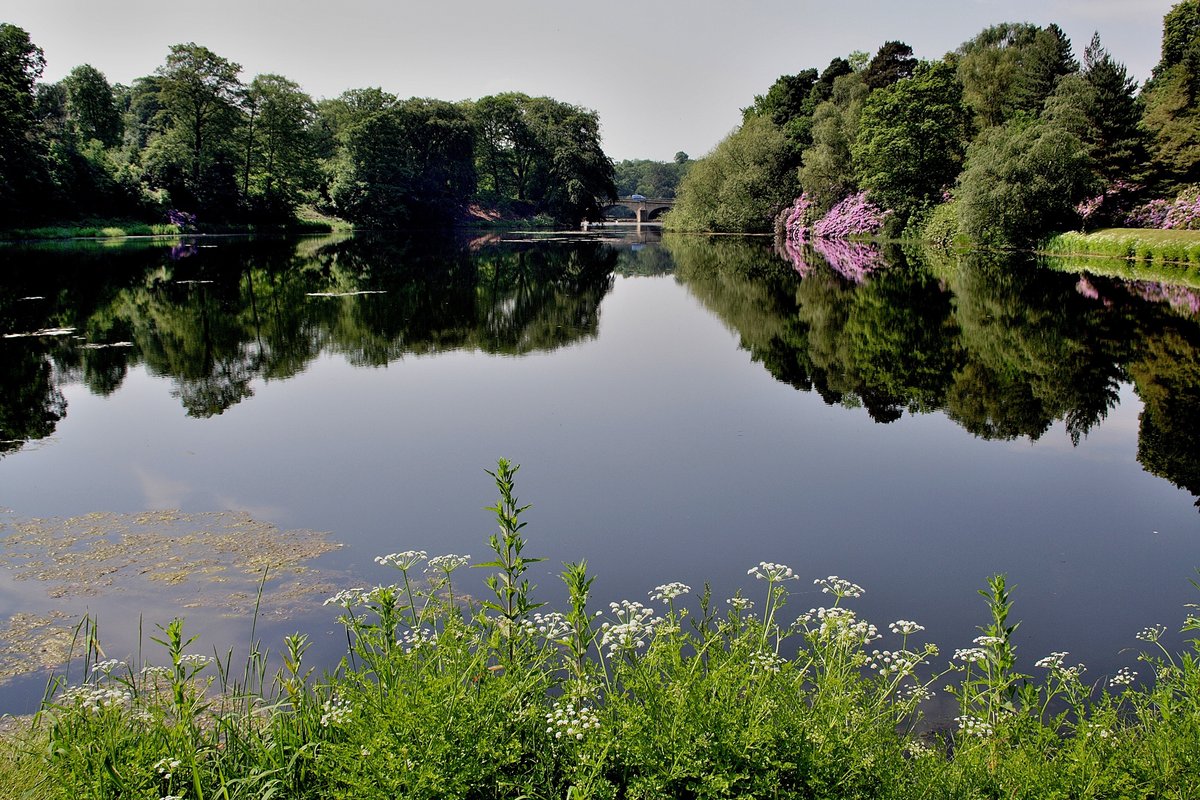 "Lake at Nostell Priory, Wakefield" by Tom Curtis at PicturesofEngland.com
