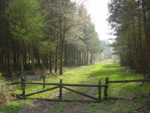 Pictures of Maulden, Bedfordshire, England | England Photography & History