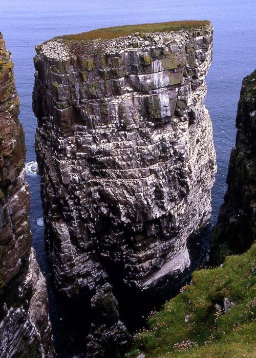 The 'Great Stack', Island of Handa, Scotland Wallpaper Background ID ...