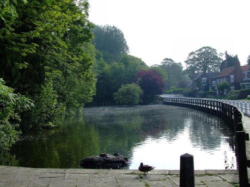 "Walkington pond" by Andy Edwards at PicturesofEngland.com