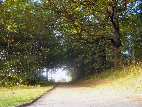 "Bramcote Park" by David Myers at PicturesofEngland.com