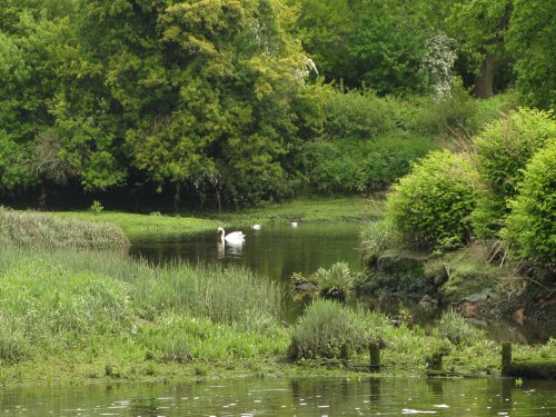 "Beeleigh Falls near Maldon" by Ted at PicturesofEngland.com