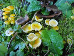 "Eldon Square, Reading" by Edward Lever at PicturesofEngland.com