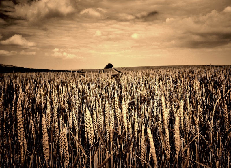 Pictures of Marske-by-the-Sea, , England | England Photography & History